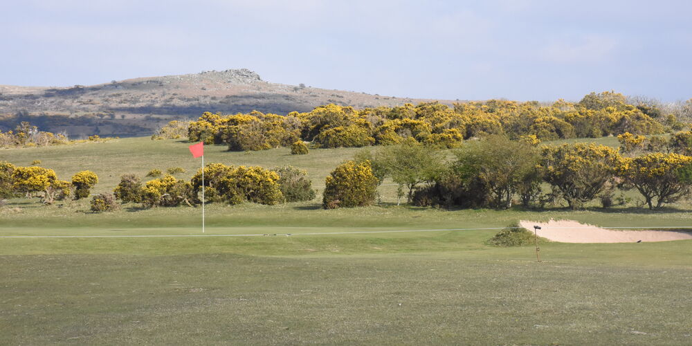 Tavistock Golf Club :: Tavistock Golf Club