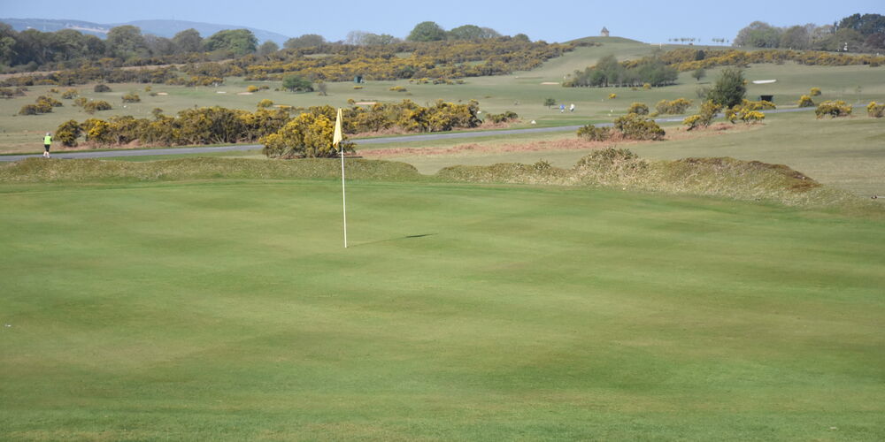 Tavistock Golf Club :: Tavistock Golf Club