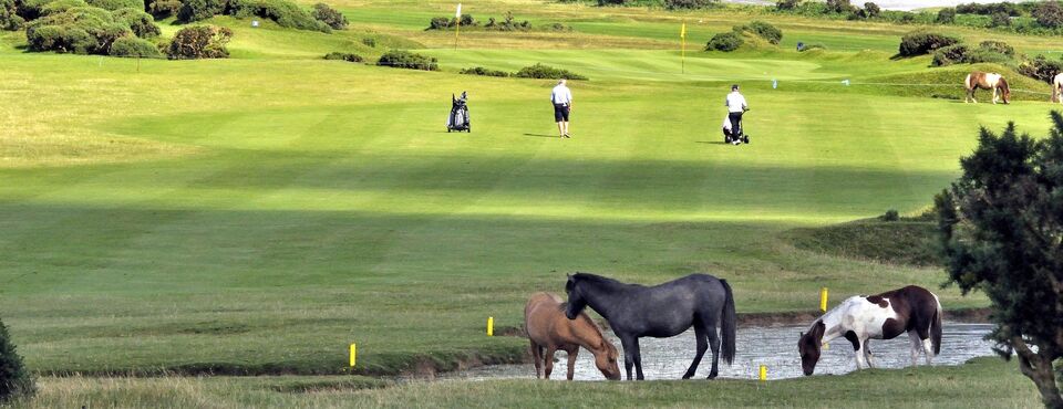 Tavistock Golf Club :: Tavistock Golf Club