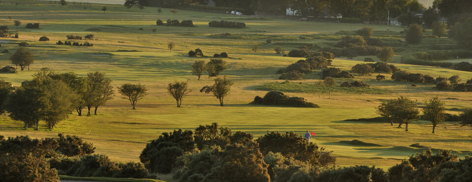 Tavistock Golf Club :: Tavistock Golf Club